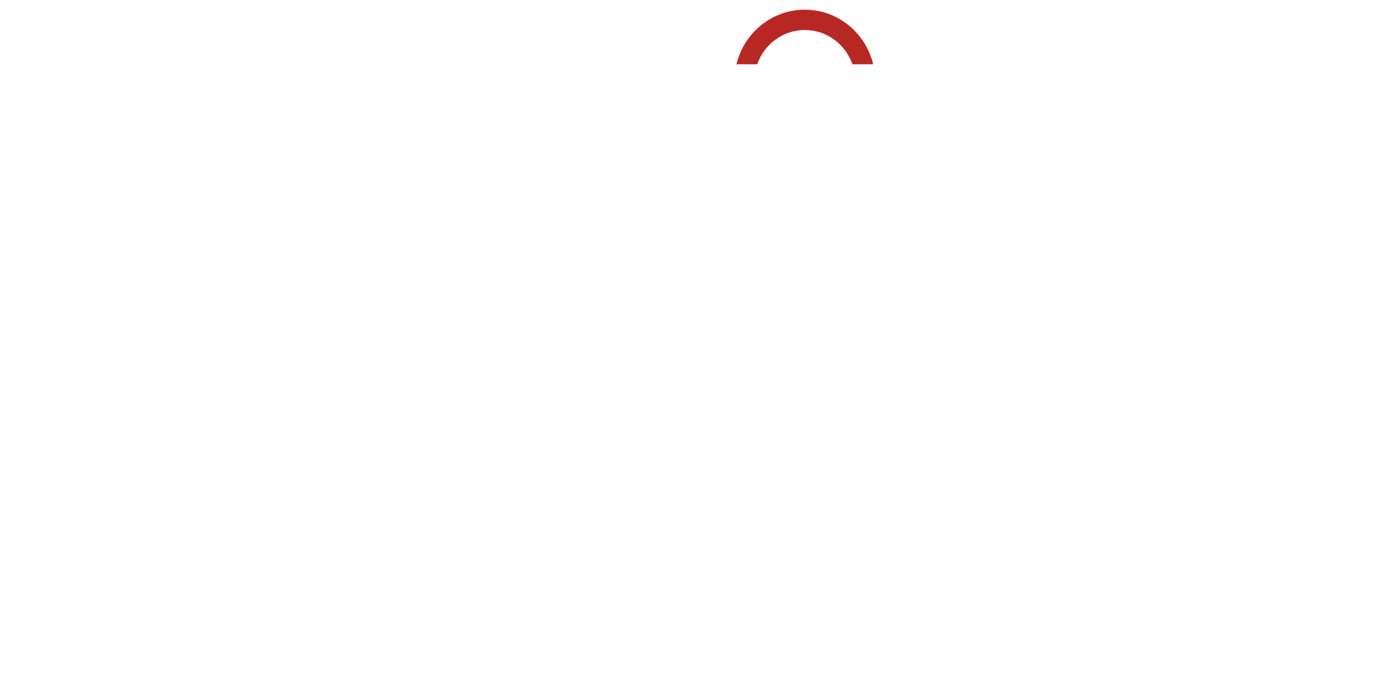 Fleet Management Dash Cam | Vestige Group
